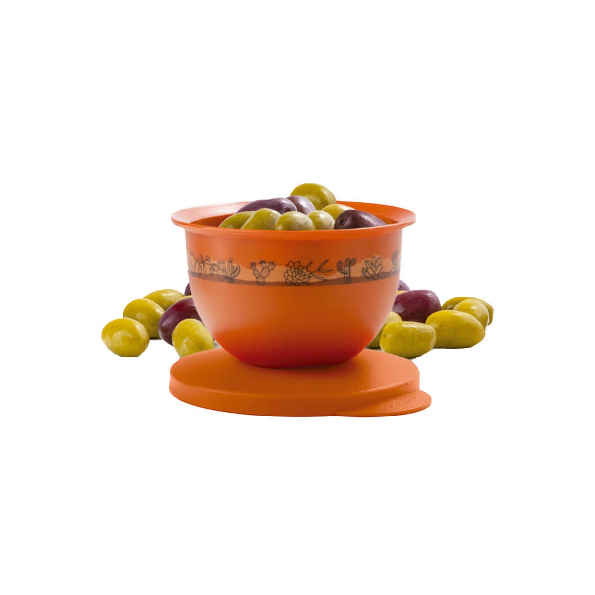 Tigela Murano 200ml Cactos e Suculentas Laranja - Tupperware - Classy ...